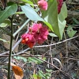 Lake Thom-a-Lex Nature Trail, North Carolina - 264 Reviews, Map | AllTrails