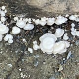 Lake Thom-a-Lex Nature Trail, North Carolina - 264 Reviews, Map | AllTrails