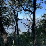 Turkey Point Lighthouse Trail, Maryland - 895 Reviews, Map | AllTrails