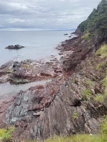 2023 Best Beach Trails in Norman's Cove-Long Cove | AllTrails
