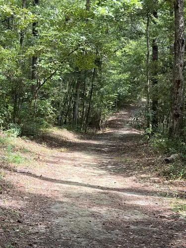 Best Lake Trails in Conway | AllTrails