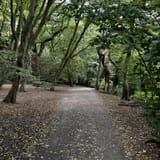 Highgate Wood Circular, London, England - 23 Reviews, Map | AllTrails