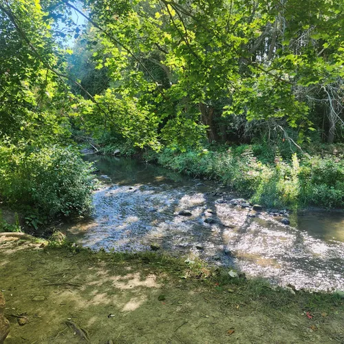 Best Hikes and Trails in Soper Creek Park | AllTrails