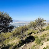 Big Beacon Mount Wire Trail, Utah - 1,788 Reviews, Map | AllTrails