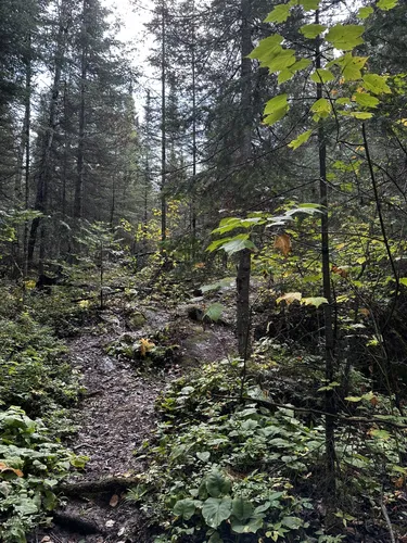 Best Hikes and Trails in Aaron Provincial Park | AllTrails