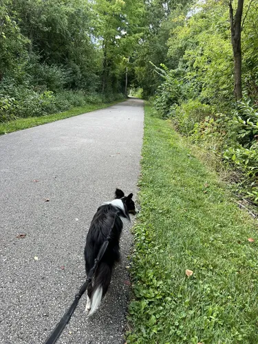 Best Hikes and Trails in Spring Green Park | AllTrails