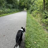 Bugline Trail, Wisconsin - 610 Reviews, Map | AllTrails