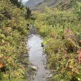 Mint Hut Via Gold Mint Trail, Alaska - 276 Reviews, Map | AllTrails