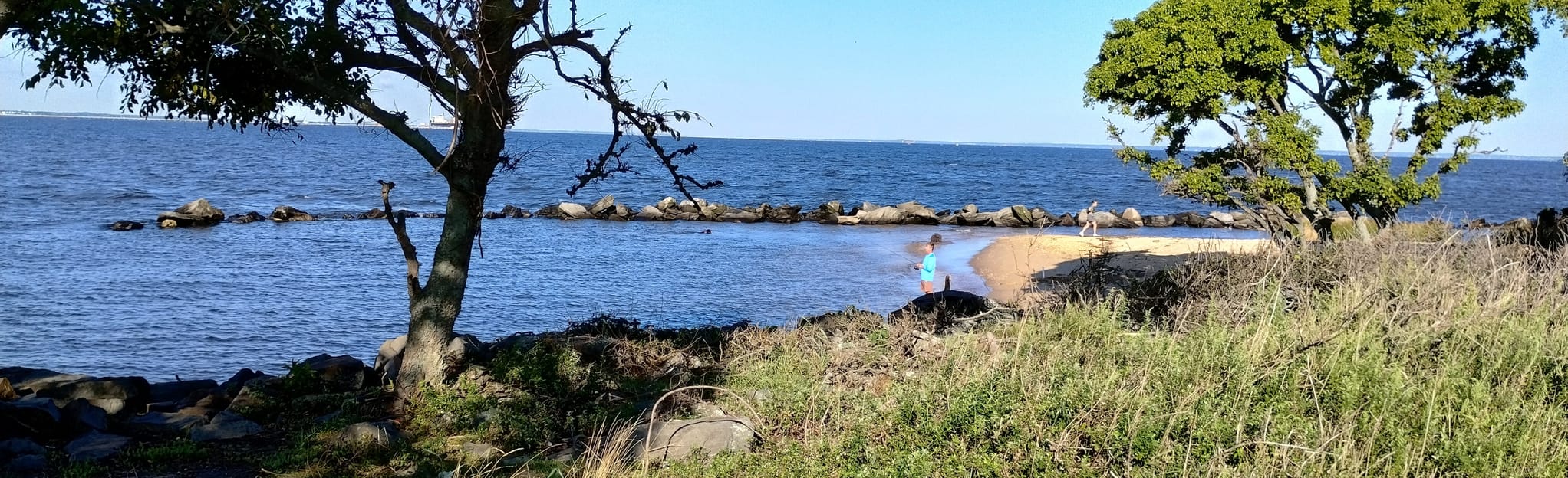 Sandy Hook Multi-Use Trail: 880 Reviews, Map - New Jersey | AllTrails