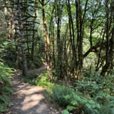 Mulkey Creek Trail, Oregon - 420 Reviews, Map | AllTrails