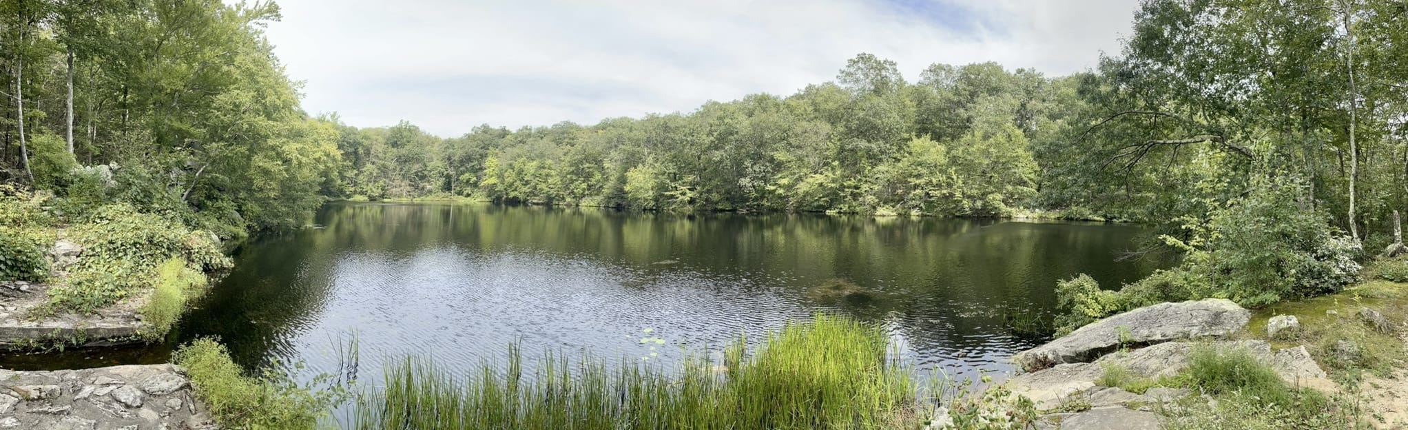 Godfrey Pond Loop, Connecticut - 265 Reviews, Map | AllTrails