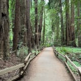 Bootjack Loop, California - 1,609 Reviews, Map | AllTrails