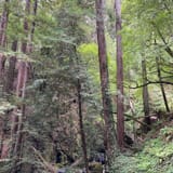 Bootjack Loop, California - 1,609 Reviews, Map | AllTrails