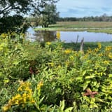 Cornwallis River Loop, Nova Scotia, Canada - 21 Reviews, Map | AllTrails