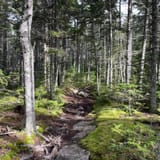 Middle Carter via Imp, North Carter, and Carter-Moriah Trail, New ...