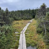 Middle Carter via Imp, North Carter, and Carter-Moriah Trail, New ...