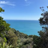 Mercer Bay Loop Track, Auckland, New Zealand - 473 Reviews, Map | AllTrails