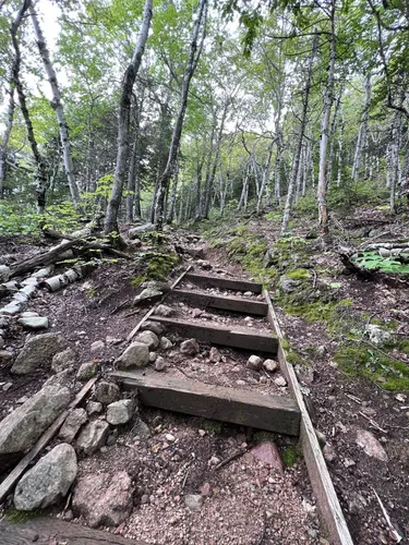 2023 Best Trails, Walks, and Paths in Ingonish Beach | AllTrails