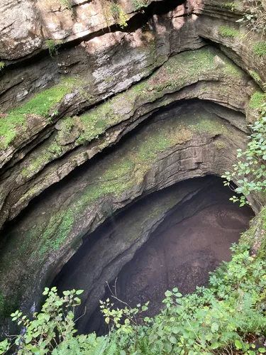 Best Hikes and Trails in Neversink Cave Preserve | AllTrails