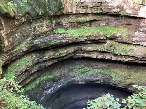 Best Hikes and Trails in Neversink Cave Preserve | AllTrails