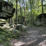 Thunder Rocks, New York - 59 Reviews, Map | AllTrails