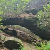 Koomer Ridge Trail, Kentucky - 597 Reviews, Map | AllTrails