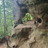 Koomer Ridge Trail, Kentucky - 597 Reviews, Map | AllTrails
