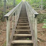 Koomer Ridge Trail, Kentucky - 597 Reviews, Map | AllTrails
