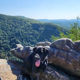 Chained Rock Trail, Kentucky - 500 Reviews, Map | AllTrails