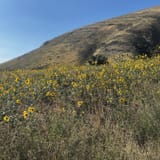 Red Butte Canyon Overlook, Utah - 343 Reviews, Map | AllTrails