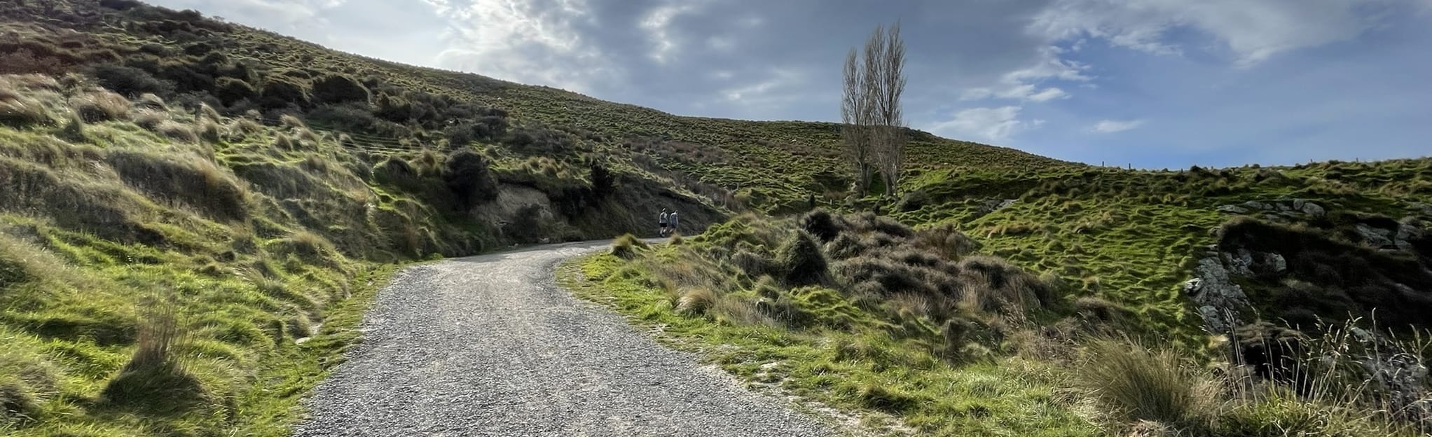 Rapaki Track, Canterbury, New Zealand - 466 Reviews, Map | AllTrails