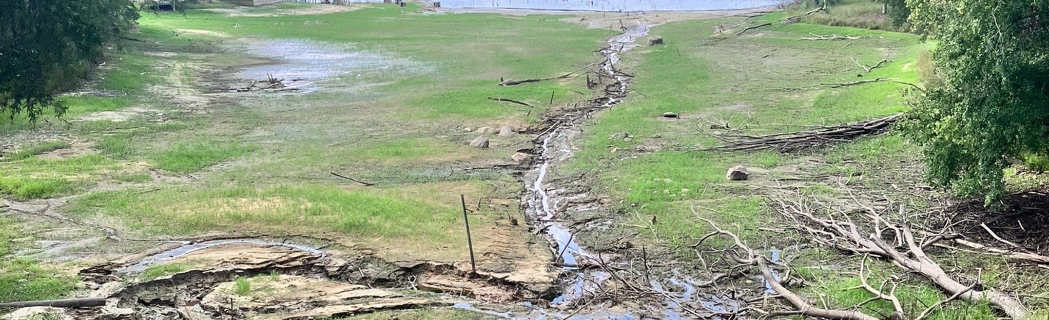 CEWC Yellow, Blue, and Red Trail: 27 Reviews, Map - Georgia | AllTrails