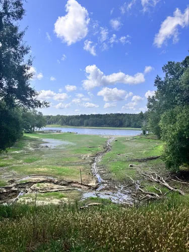 Best Hikes and Trails in Charlie Elliott Wildlife Center | AllTrails