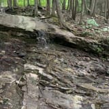 Mount Ascutney via Weathersfield Trail, Vermont - 1,318 Reviews, Map ...