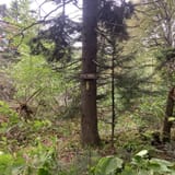 Mount Ascutney via Weathersfield Trail, Vermont - 1,318 Reviews, Map ...