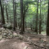 Mount Ascutney via Weathersfield Trail, Vermont - 1,318 Reviews, Map ...