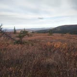 Summit Trail to Wickersham Dome, Alaska - 232 Reviews, Map | AllTrails