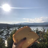 Fonta Flora Trail Loop, North Carolina - 1,483 Reviews, Map | AllTrails