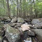 Catamount Hill Trail and One Mile Trail Loop, New Hampshire - 620 ...