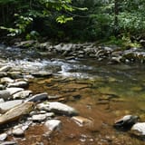 South Toe River Loop Trail, North Carolina - 431 Reviews, Map | AllTrails