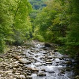 South Toe River Loop Trail, North Carolina - 431 Reviews, Map | AllTrails