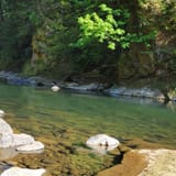 Green River Trail, Washington - 45 Reviews, Map | AllTrails