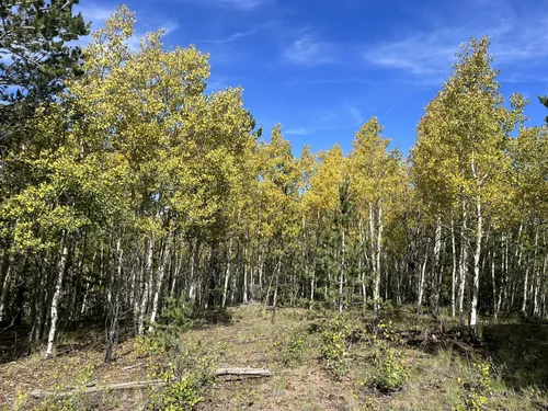 Best Hikes and Trails in Dome Rock State Wildlife Area | AllTrails