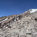 Muir Snowfield Ski Tour, Washington - 1,292 Reviews, Map | AllTrails