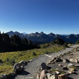 Muir Snowfield Ski Tour, Washington - 1,292 Reviews, Map | AllTrails