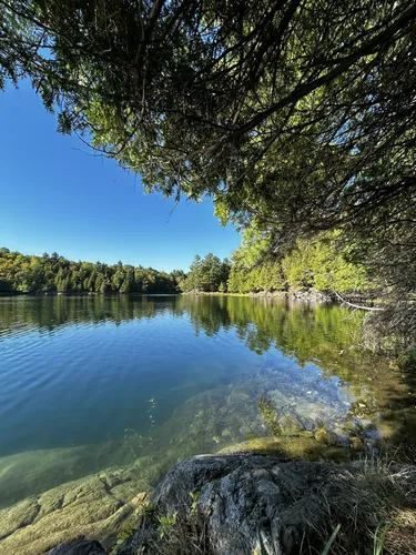 Best Hikes and Trails in Gould Lake Conservation Area | AllTrails