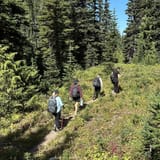Berkeley Park Trail, Washington - 395 Reviews, Map | AllTrails