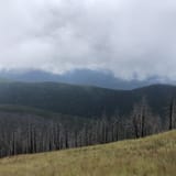 Hall Mountain Trail, Washington - 47 Reviews, Map | AllTrails