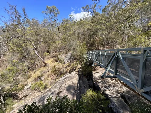 10 Best Trails and Hikes in Mount Coot-tha | AllTrails