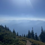 Klahhane Ridge via Switchback Trail, Washington - 447 Reviews, Map ...
